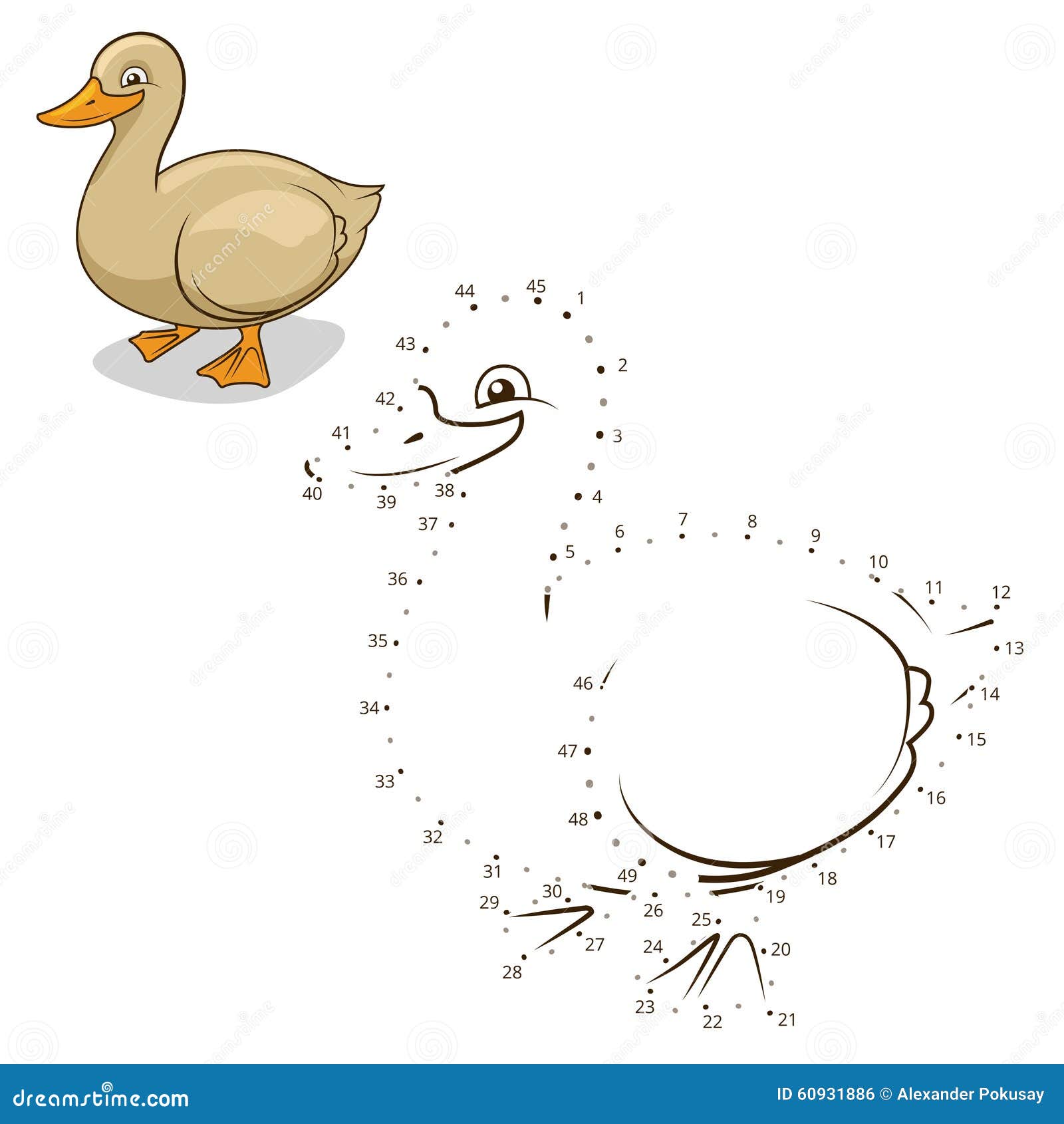Duck Connect The Dots And Color Cartoon Vector | CartoonDealer.com ... Duck Connect The Dots And Color Cartoon Vector | CartoonDealer.com ...
