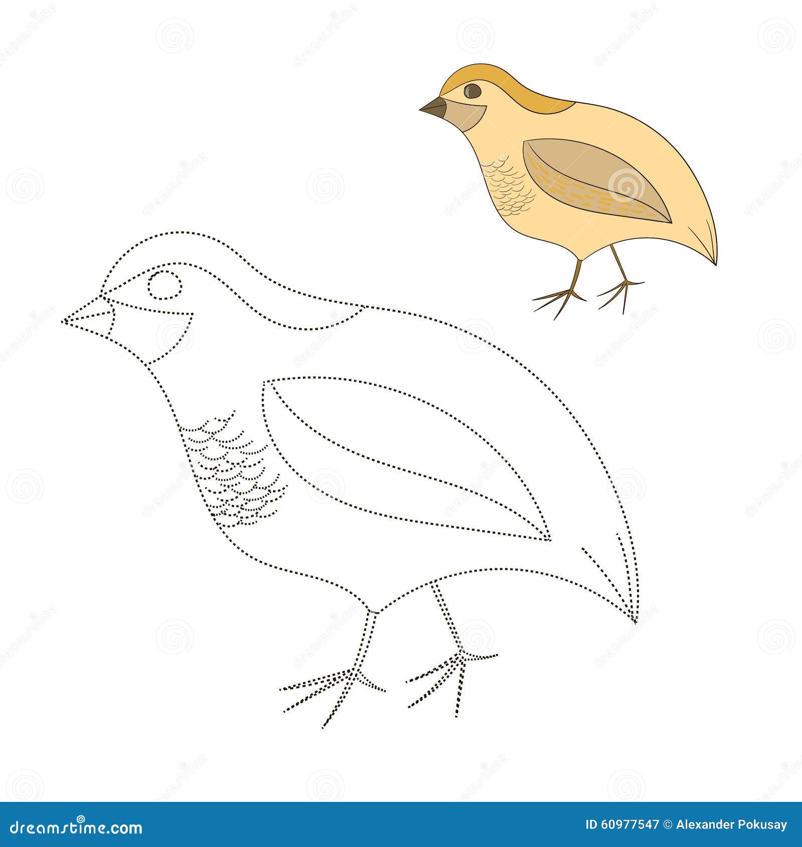 Connect the Dots Game Quail Vector Illustration Stock Vector ...