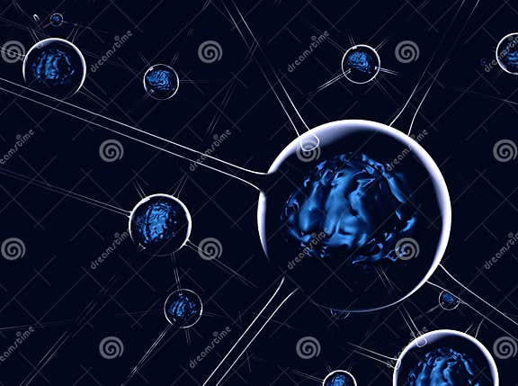 Connected brains stock illustration. Illustration of anatomy - 19869037