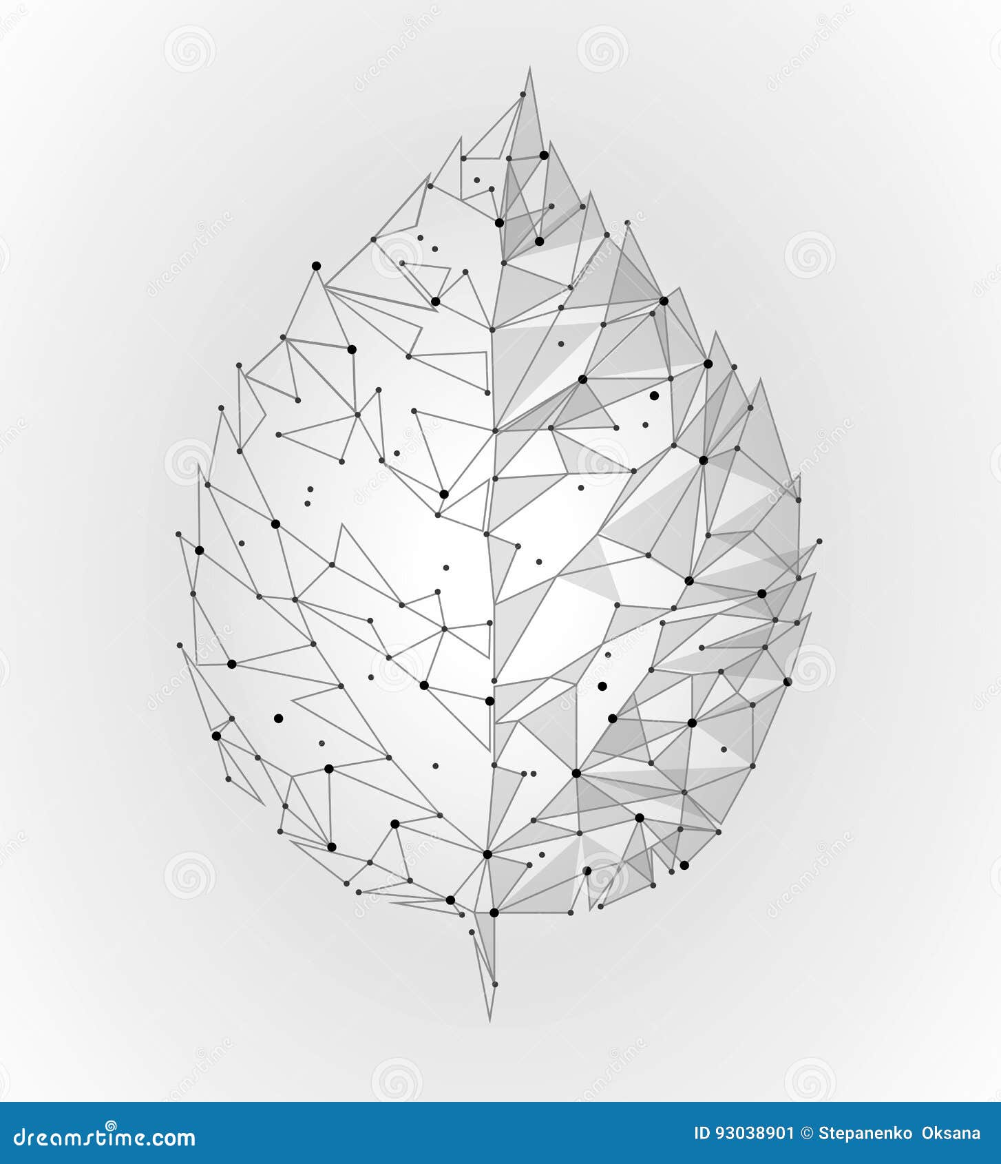 Connected Dots Point Line Triangle Leaf. Eco Nature Concept on White ...