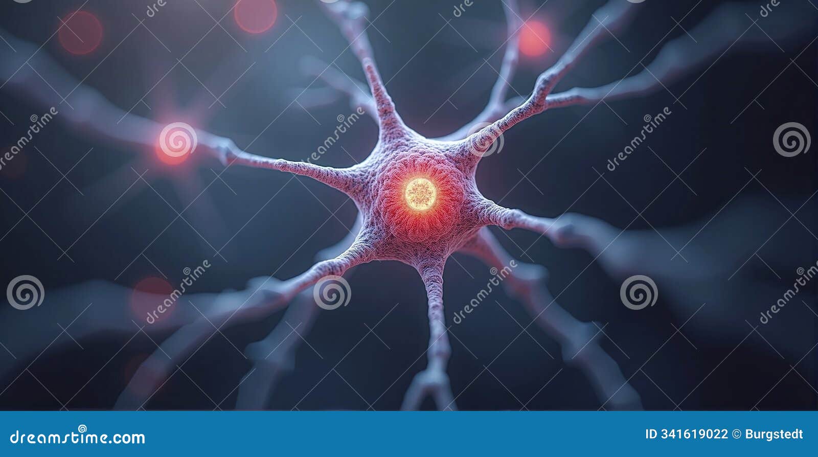 Connected and Impulse Sending Neurons or Nerve Cells Inside Organic ...