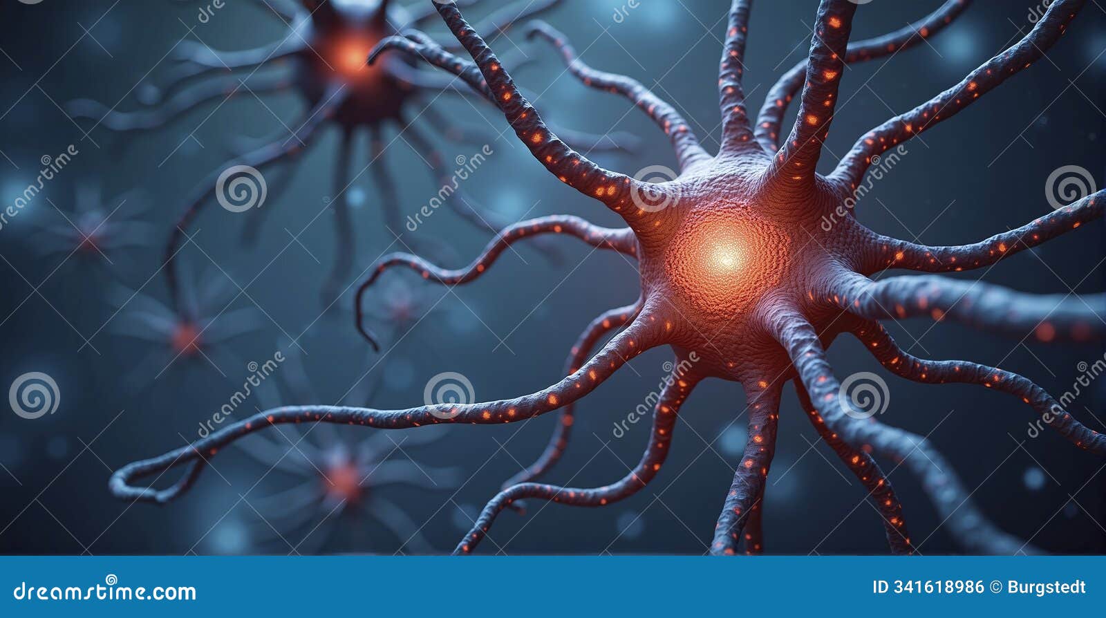 Connected and Impulse Sending Neurons or Nerve Cells Inside Organic ...