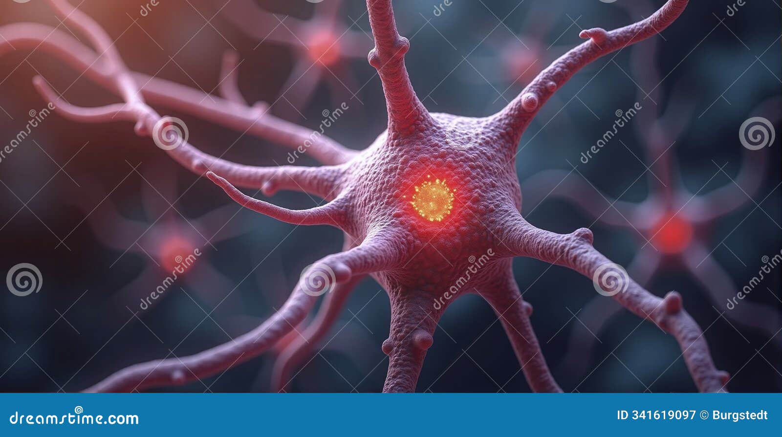 Connected And Impulse Sending Neurons Or Nerve Cells Inside Organic ...