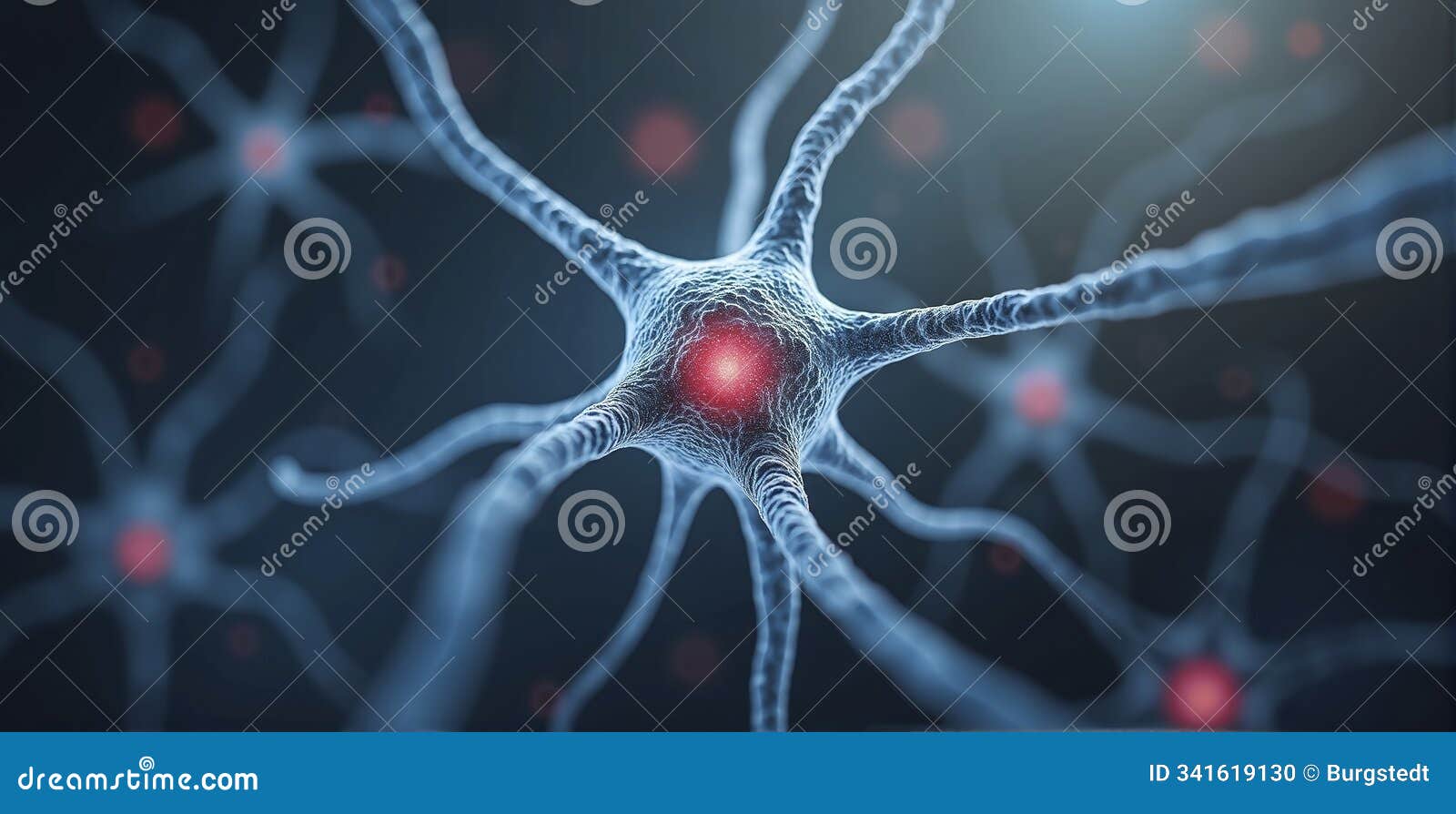 Connected and Impulse Sending Neurons or Nerve Cells Inside Organic ...