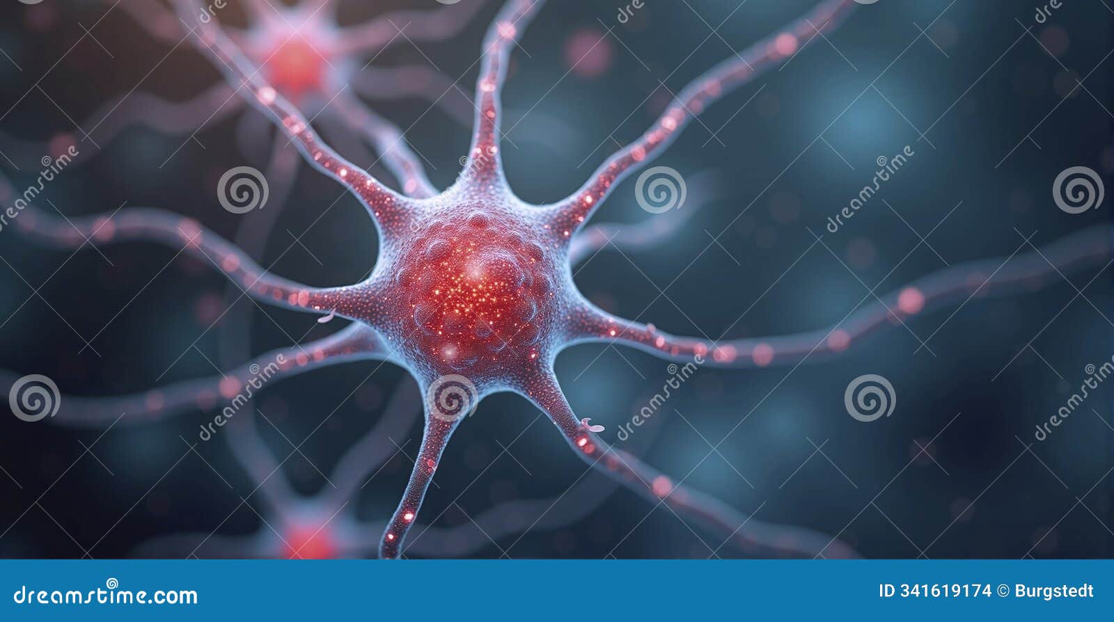 Connected and Impulse Sending Neurons or Nerve Cells Inside Organic ...