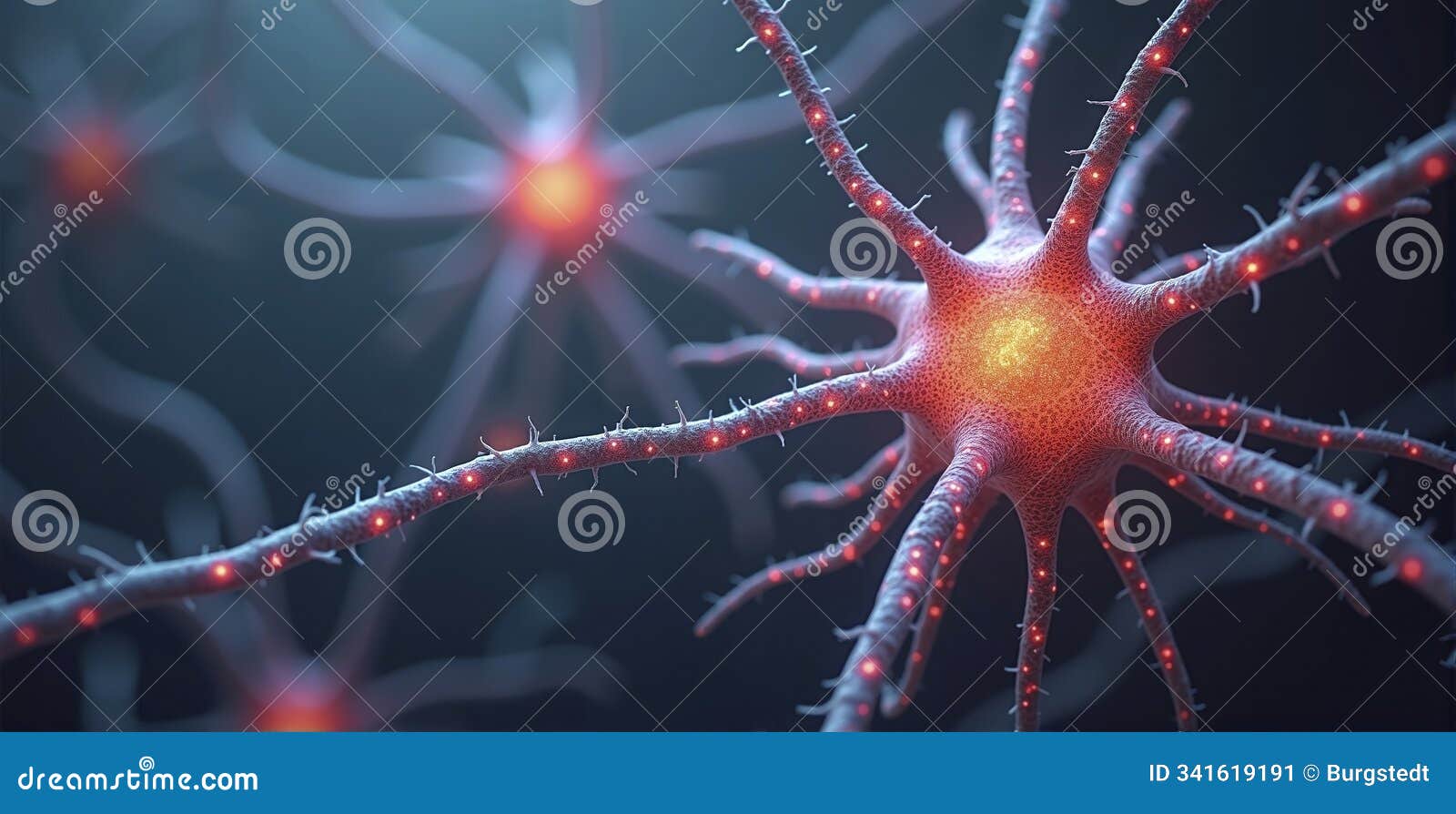 Connected And Impulse Sending Neurons Or Nerve Cells Inside Organic ...