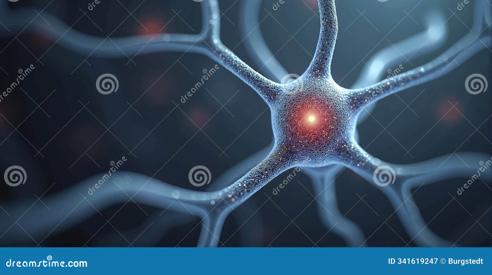 Connected and Impulse Sending Neurons or Nerve Cells Inside Organic ...