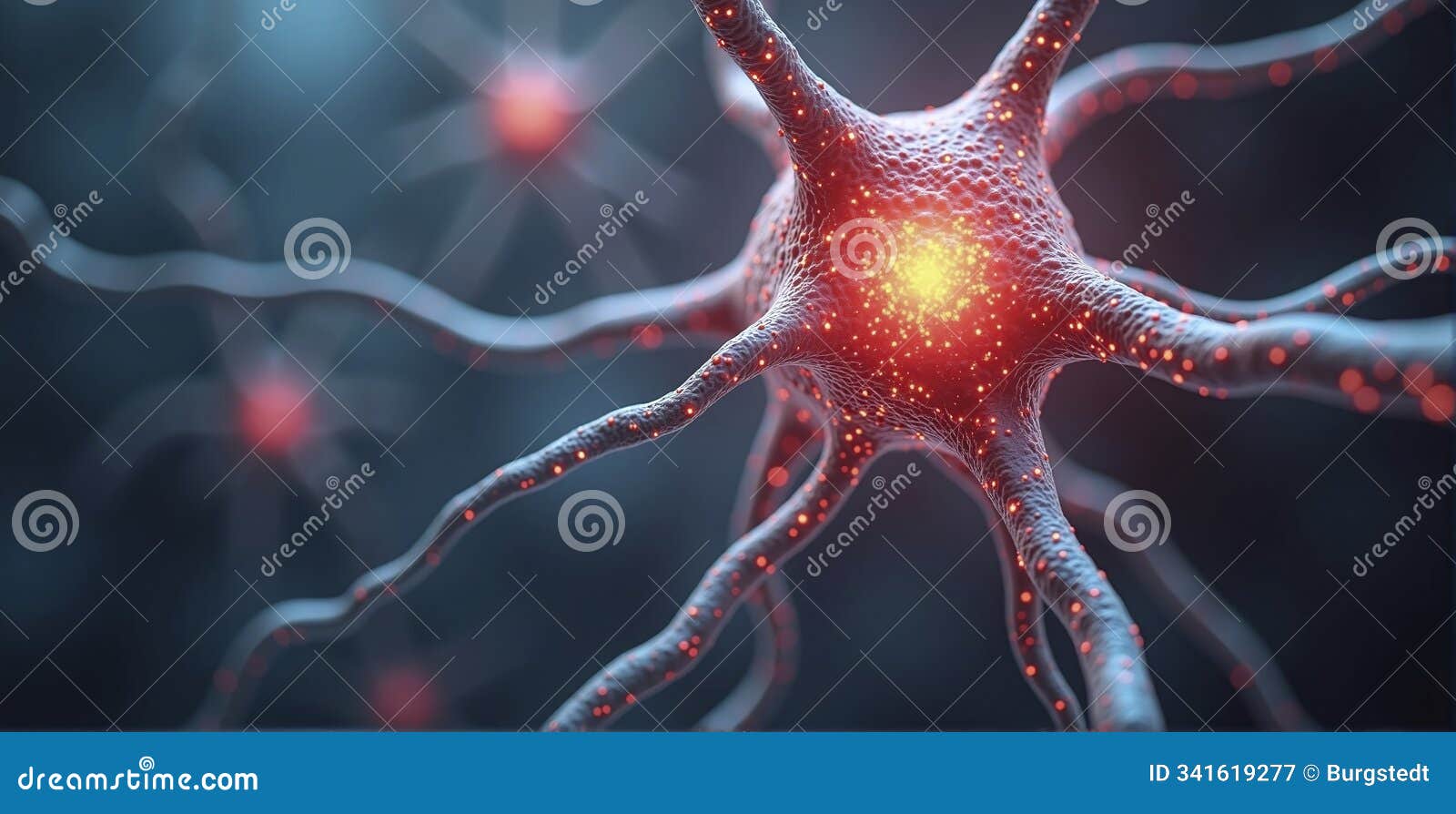 Connected And Impulse Sending Neurons Or Nerve Cells Inside Organic ...