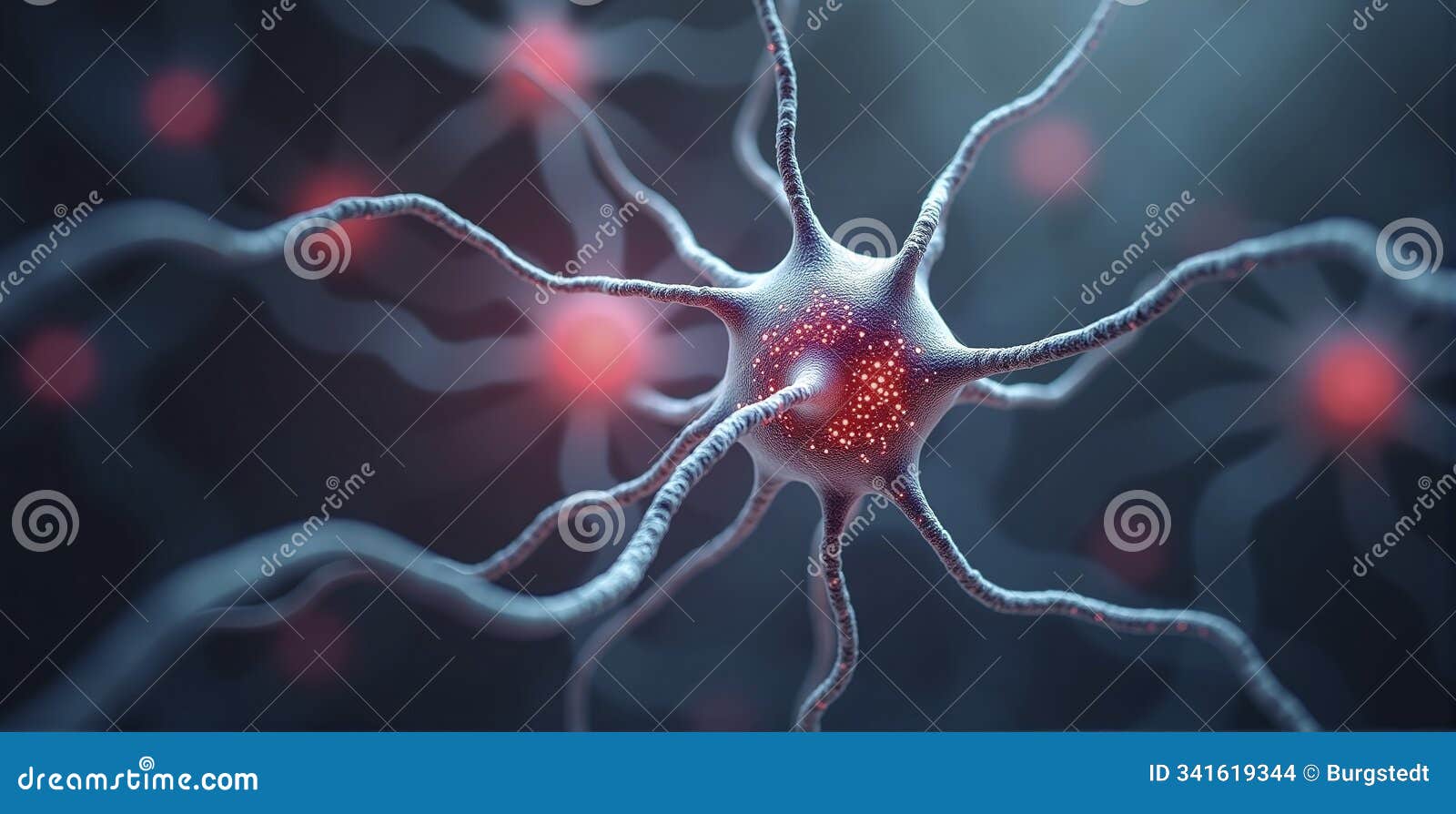 Connected And Impulse Sending Neurons Or Nerve Cells Inside Organic ...
