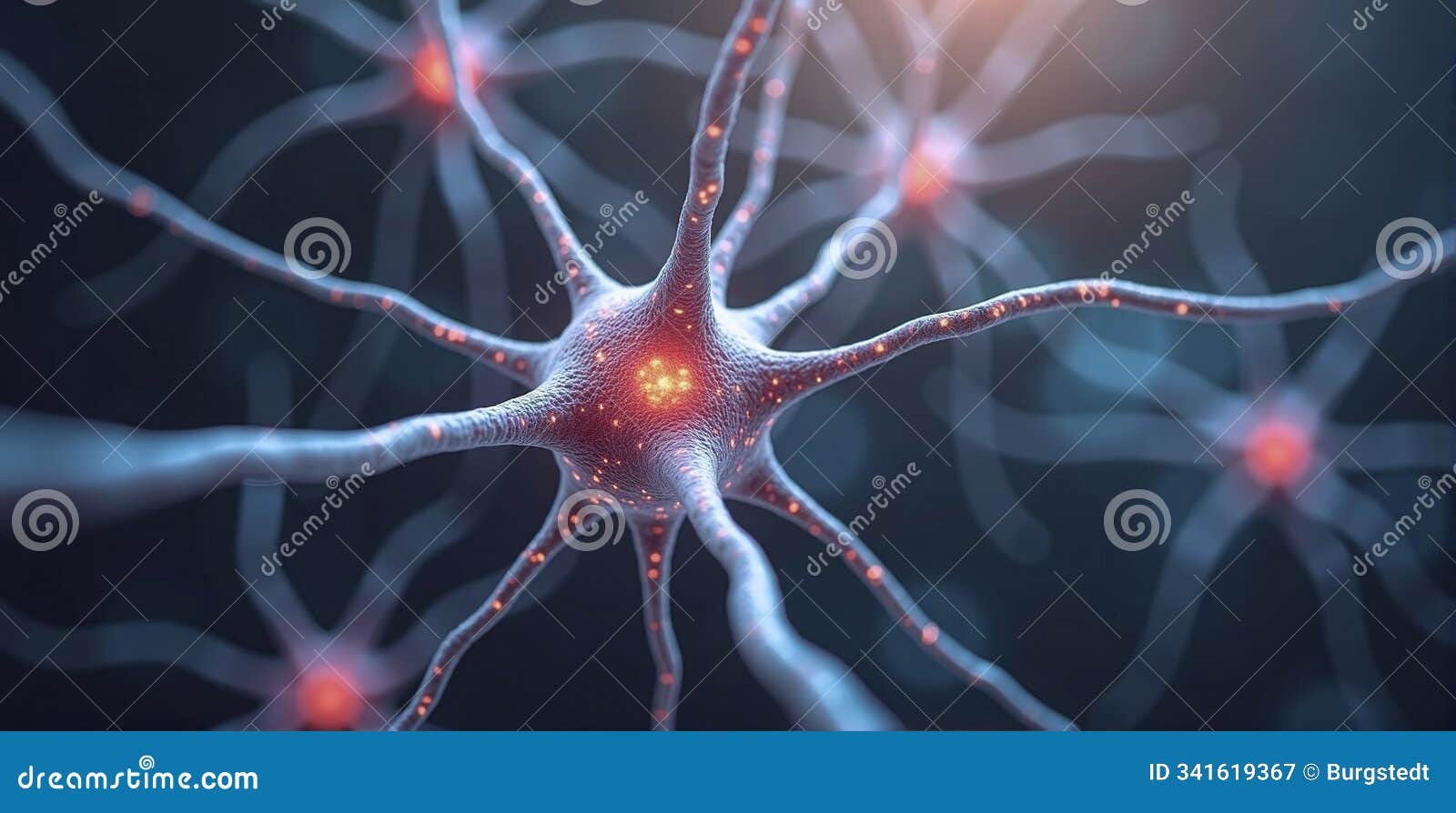 Connected and Impulse Sending Neurons or Nerve Cells Inside Organic ...