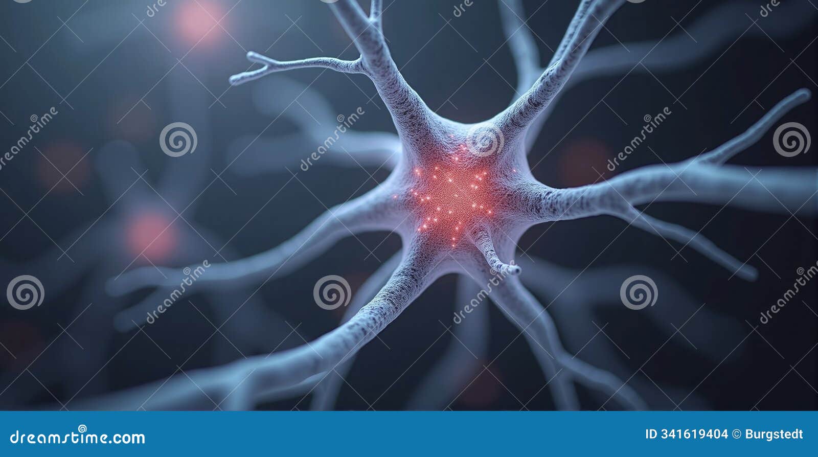 Connected and Impulse Sending Neurons or Nerve Cells Inside Organic ...