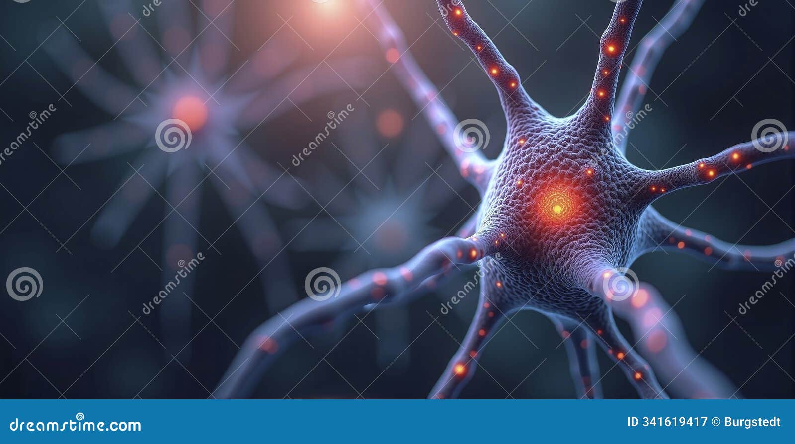 Connected and Impulse Sending Neurons or Nerve Cells Inside Organic ...