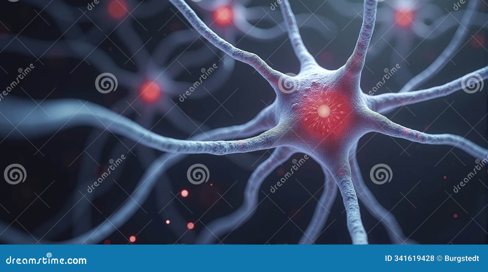 Connected and Impulse Sending Neurons or Nerve Cells Inside Organic ...