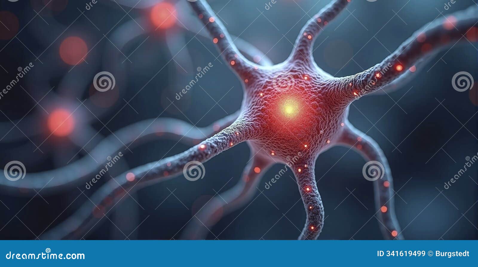 Connected and Impulse Sending Neurons or Nerve Cells Inside Organic ...
