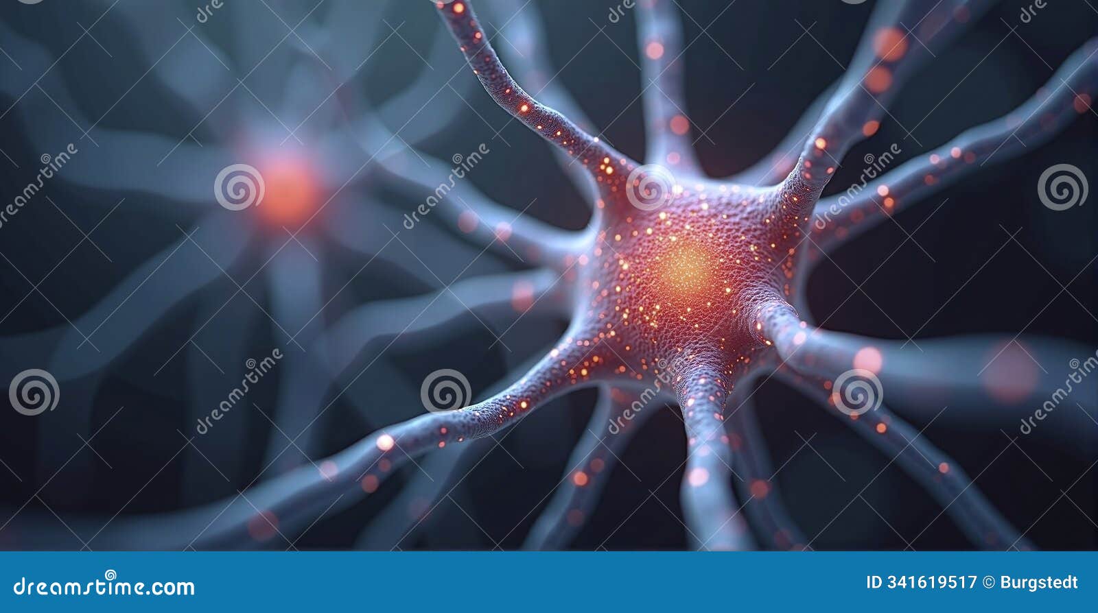 Connected And Impulse Sending Neurons Or Nerve Cells Inside Organic ...