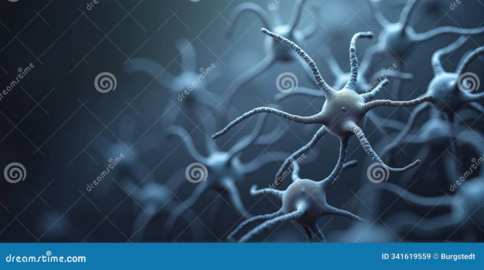 Connected And Impulse Sending Neurons Or Nerve Cells Inside Organic ...