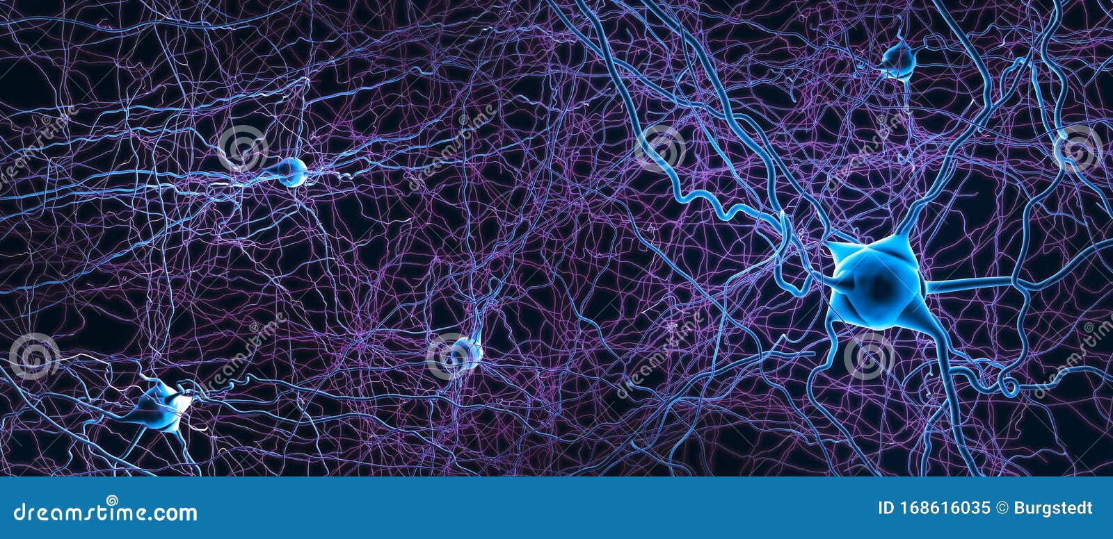 Connected Neurons or Nerve Cells Stock Illustration - Illustration of ...