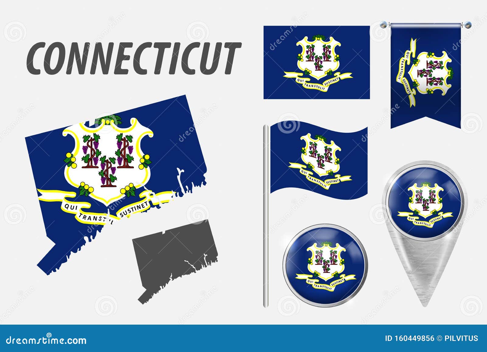 Connecticut Map With Shapes Of Regions. Cartoon Vector | CartoonDealer ...