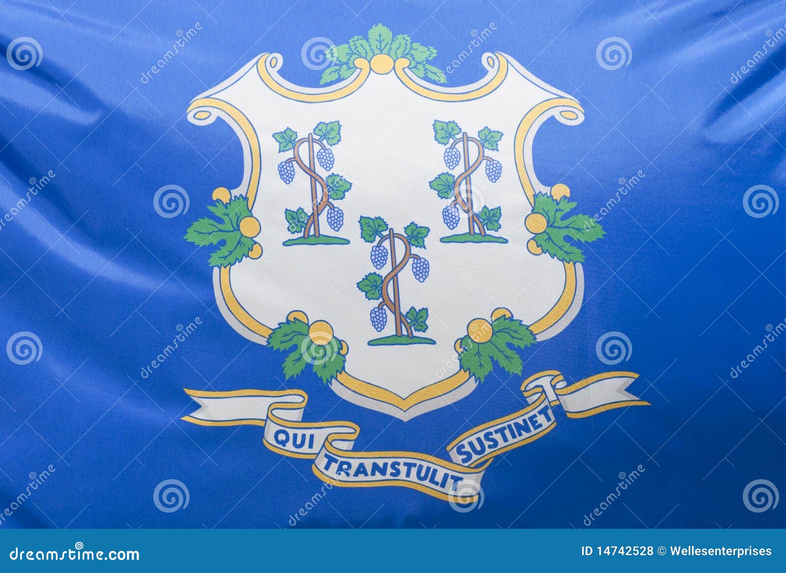 Connecticut State Flag stock photo. Image of waving, tourism - 14742528