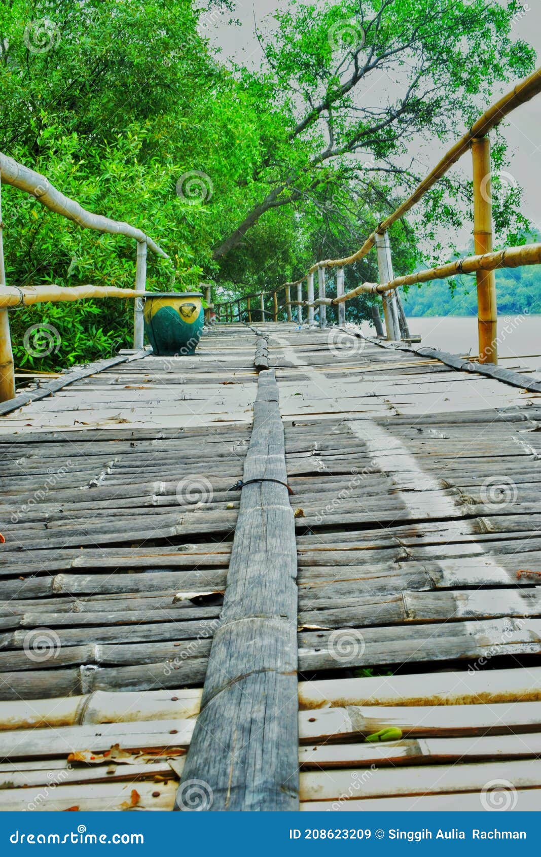 Connecting Bridge On The Edge Of The Mangrove Forest. Royalty-Free ...