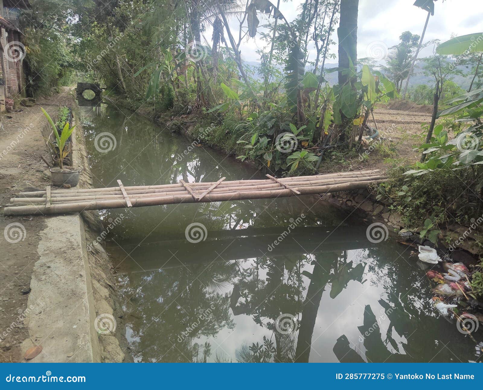 The Connecting Bridge Over the River is Made of Bamboo Stock Image ...
