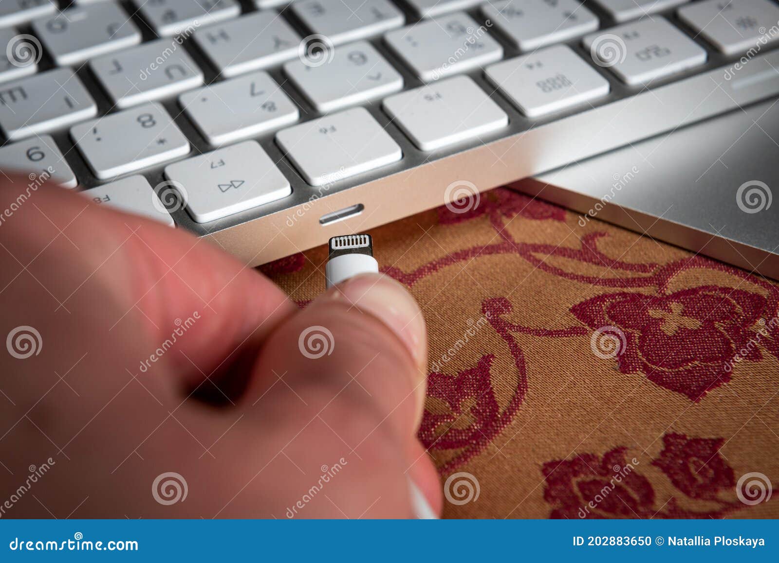 Connecting the Charger To the Keyboard Stock Photo - Image of electric ...