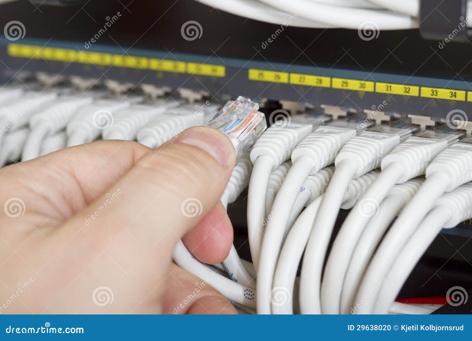 Connecting Network Cable into Switch Stock Photo - Image of inserting ...