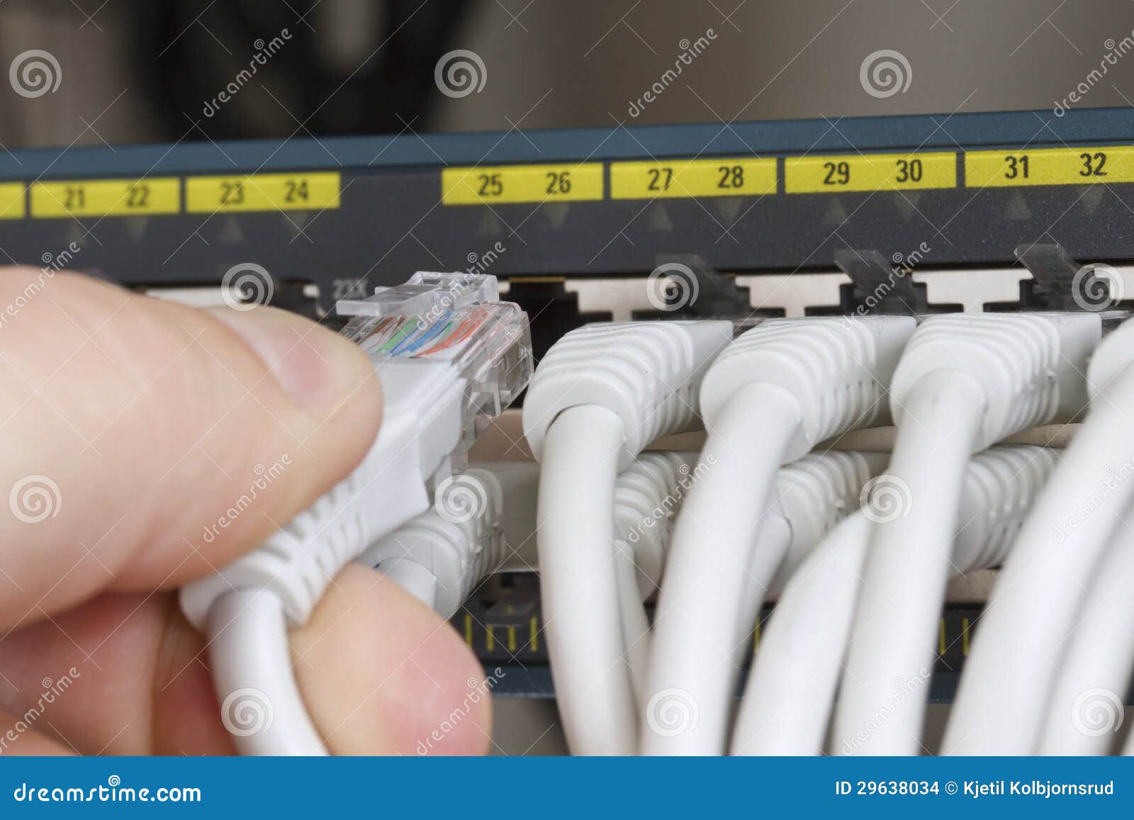 Connecting Network Cable into Switch Stock Photo - Image of center ...