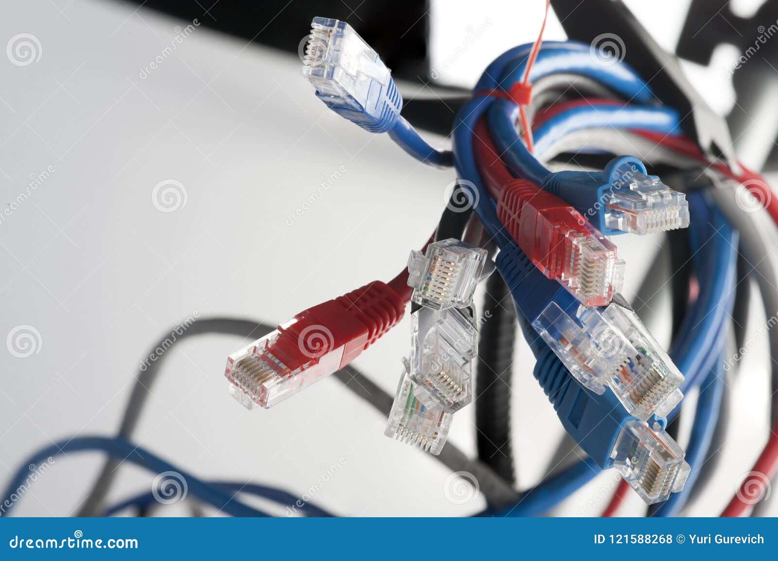 Network Cables RG-45 Network Connection Connectors Close-up Stock Photo ...