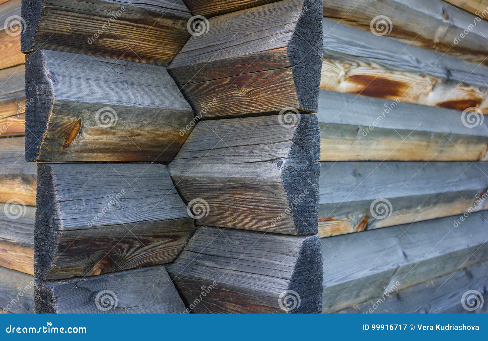Texture cut logs stock image. Image of compound, auld - 99916717
