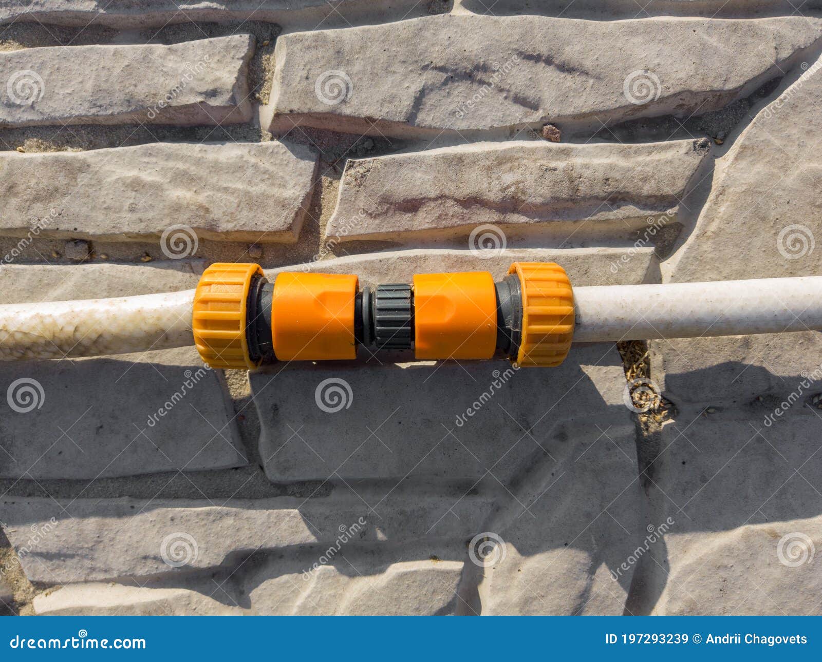 Coupling of Water Supply Hoses Using a Plastic Coupling Stock Image ...