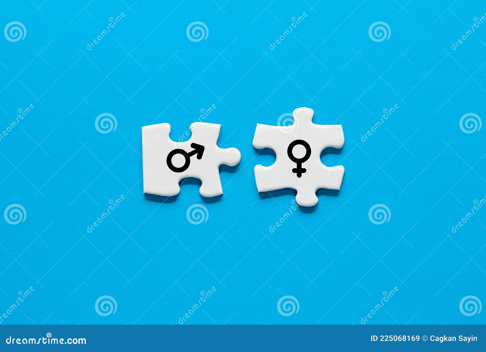 Connecting Puzzle Pieces With Male And Female Gender Icons Unity