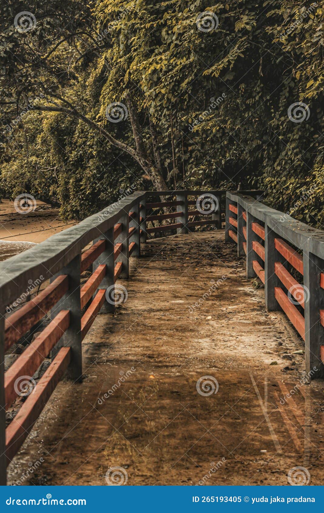A Connecting Road from the Beach into the Forest on the Island Stock ...
