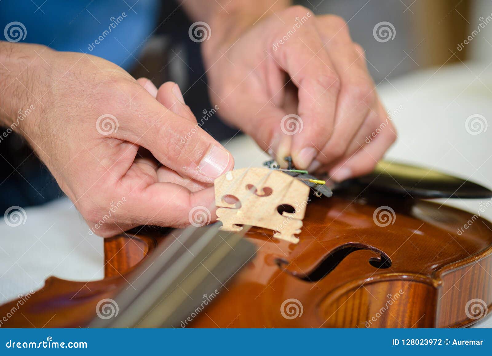 Connecting the Violin Bridge Stock Photo - Image of skill, occupation ...