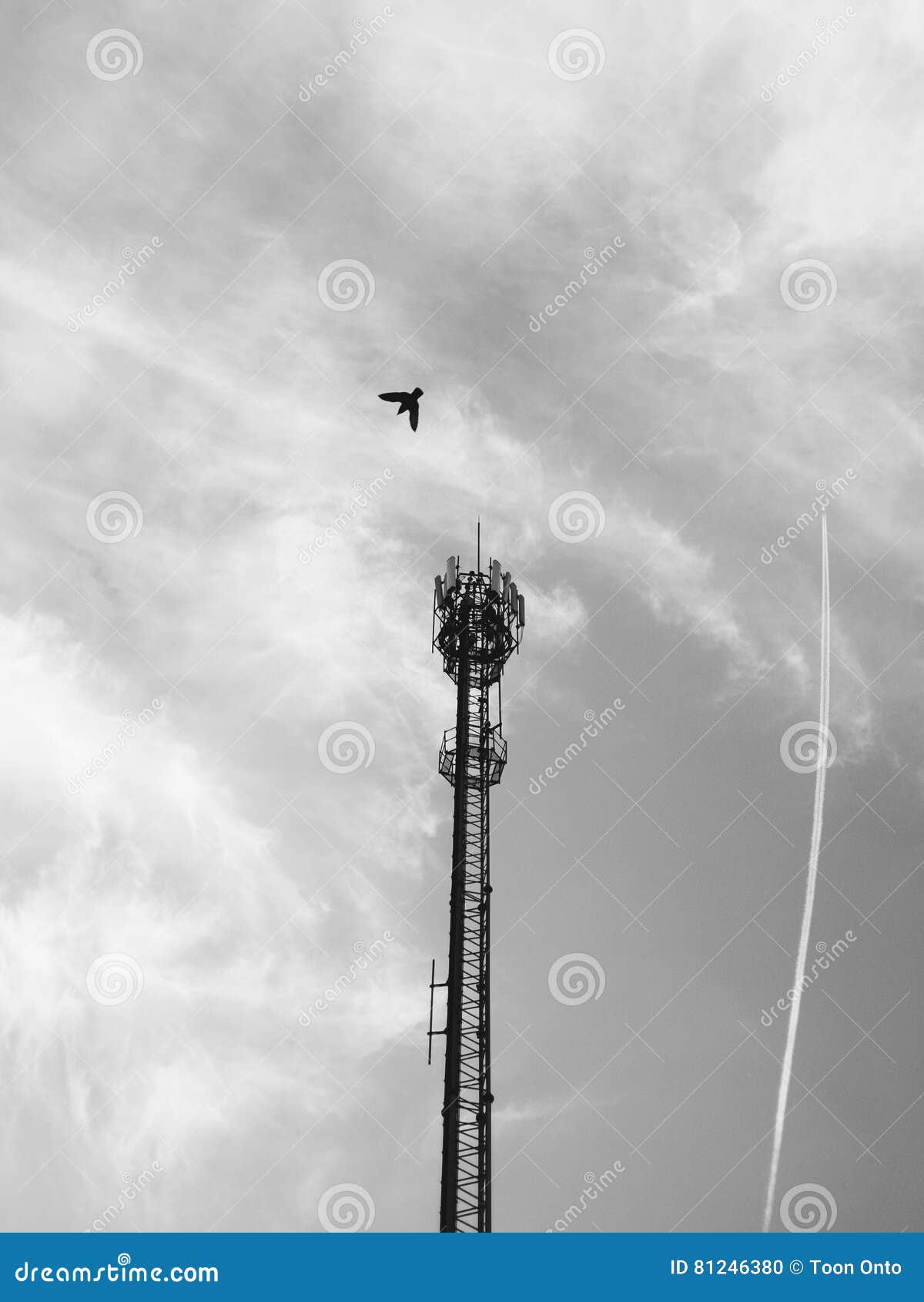 Connection stock photo. Image of connection, network - 81246380