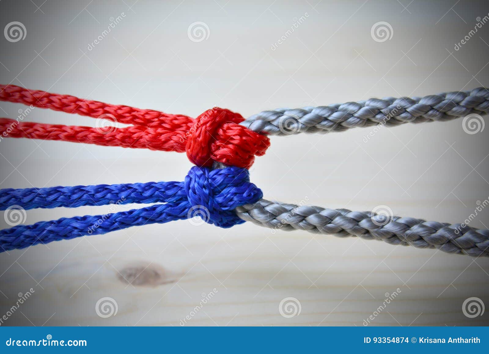 Connection Concept As Ropes Tied Linked Together Stock Photo - Image of ...