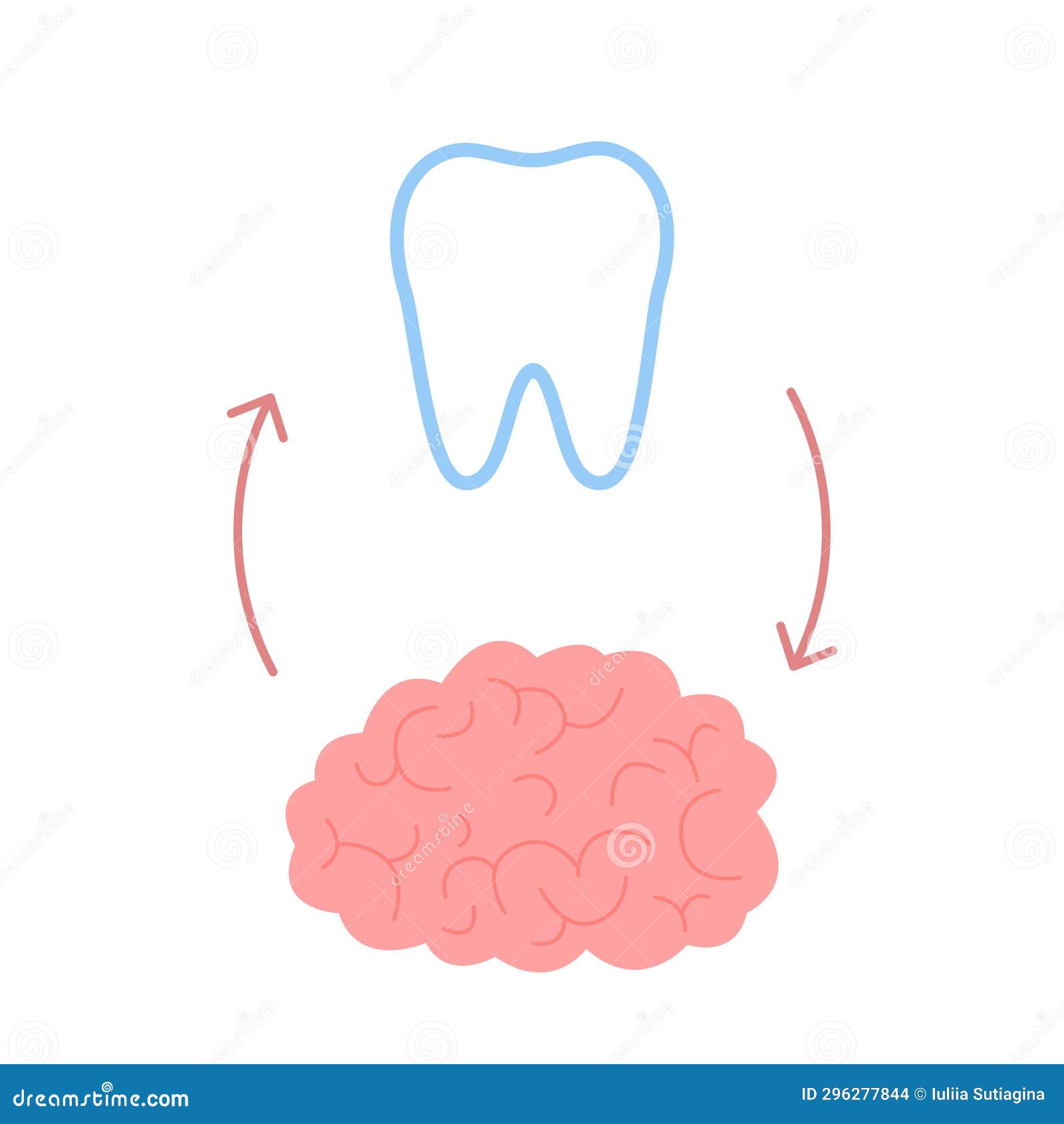 Connection of Healthy Teeth and Brain. Relation Health of Human Brain ...