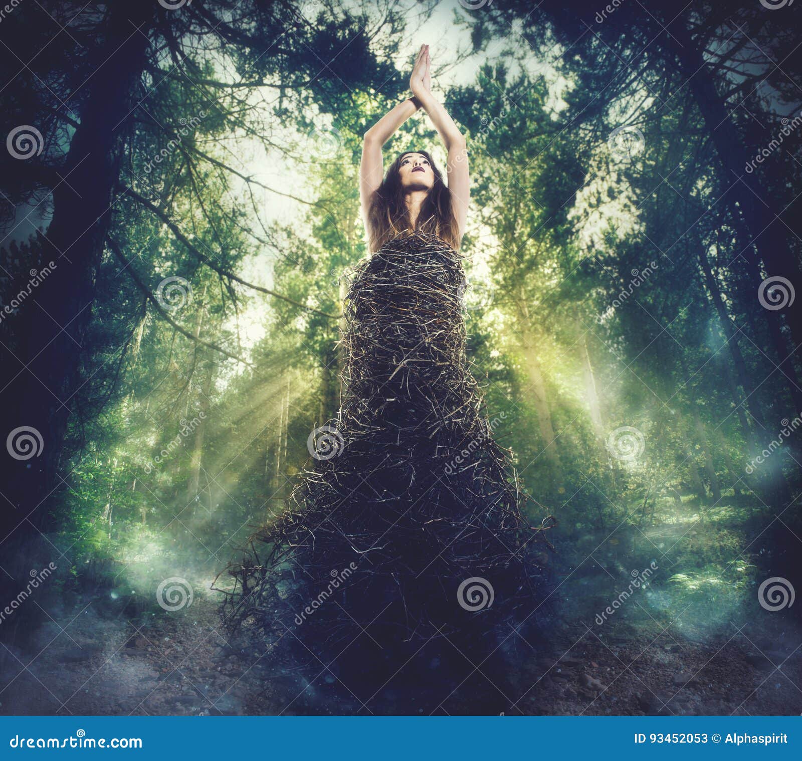 Connection between Nature and Human Stock Image - Image of care, flora ...