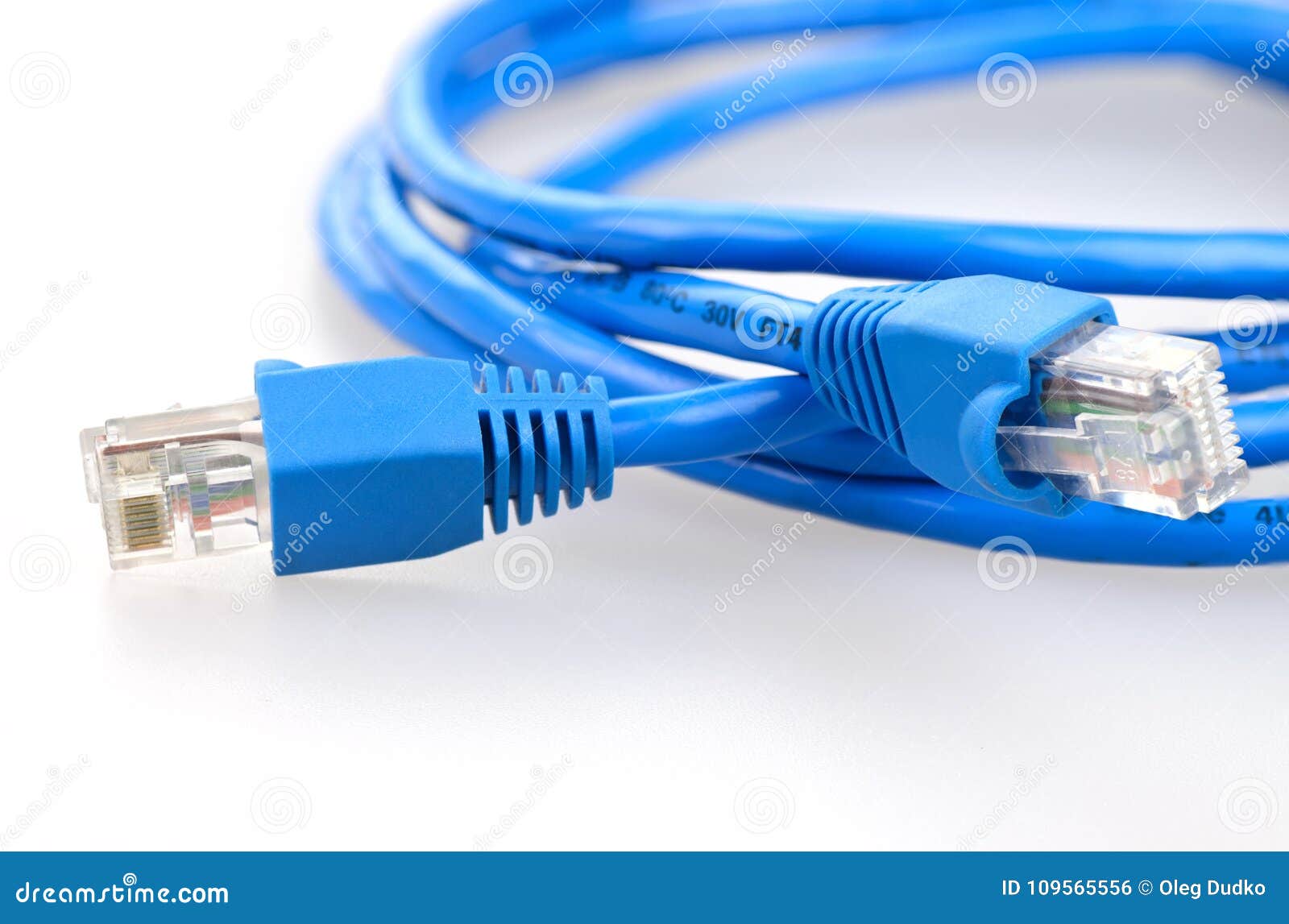 Network Connection Plug Isolated on White Stock Photo - Image of ...