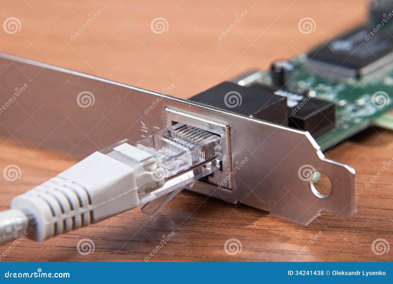 Connection To the World Wide Web Stock Photo - Image of macro, connect ...