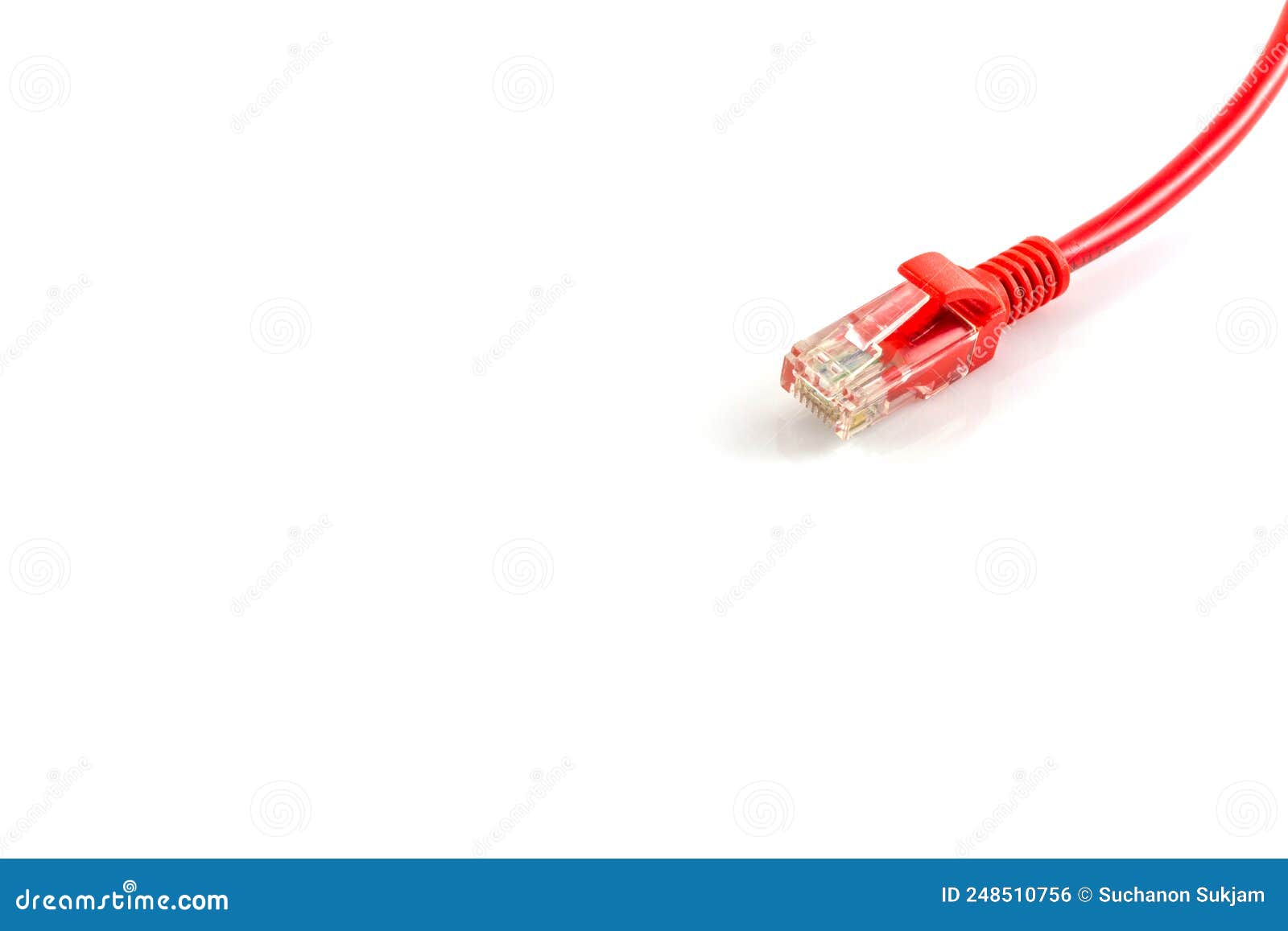 Connections of Red Network Cable Red Lan Cable Stock Photo - Image of ...