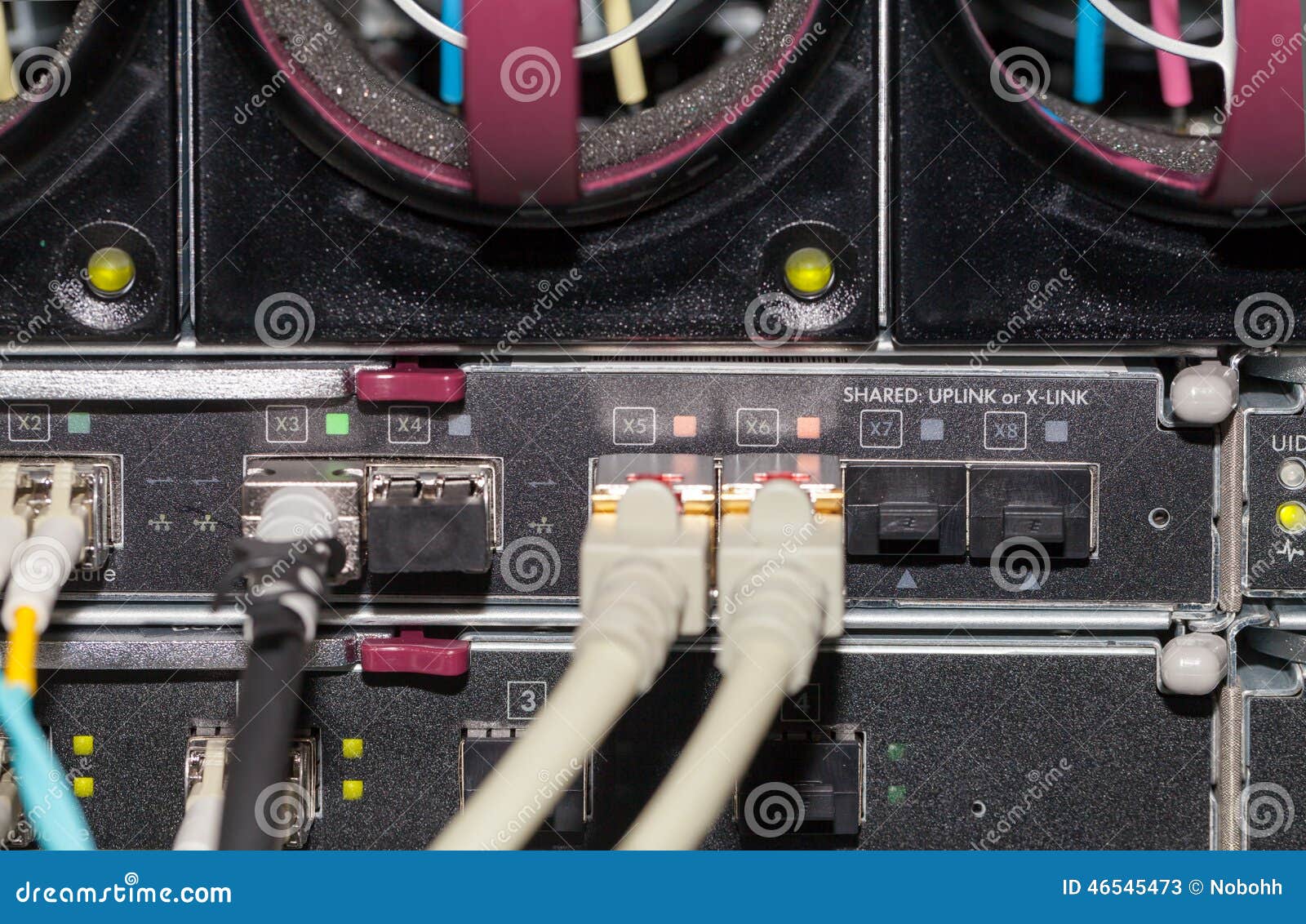 Connections To a Server in a Enclosure Stock Image - Image of light ...