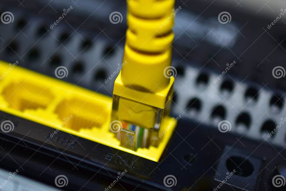Connectors for Internet Cable Wan and Lan Router Stock Photo - Image of ...