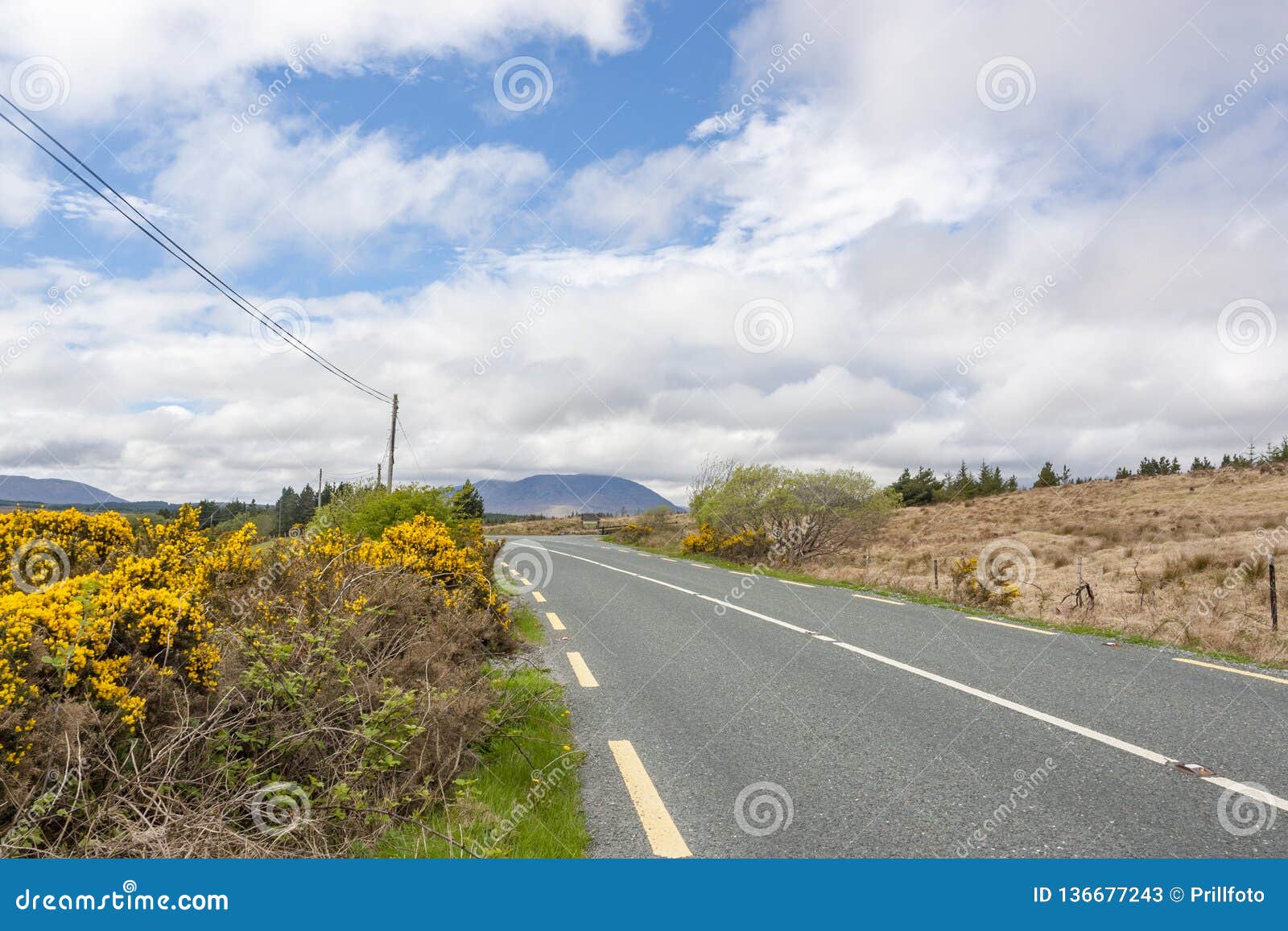 Connemara in Ireland stock image. Image of plant, scenery - 136677243