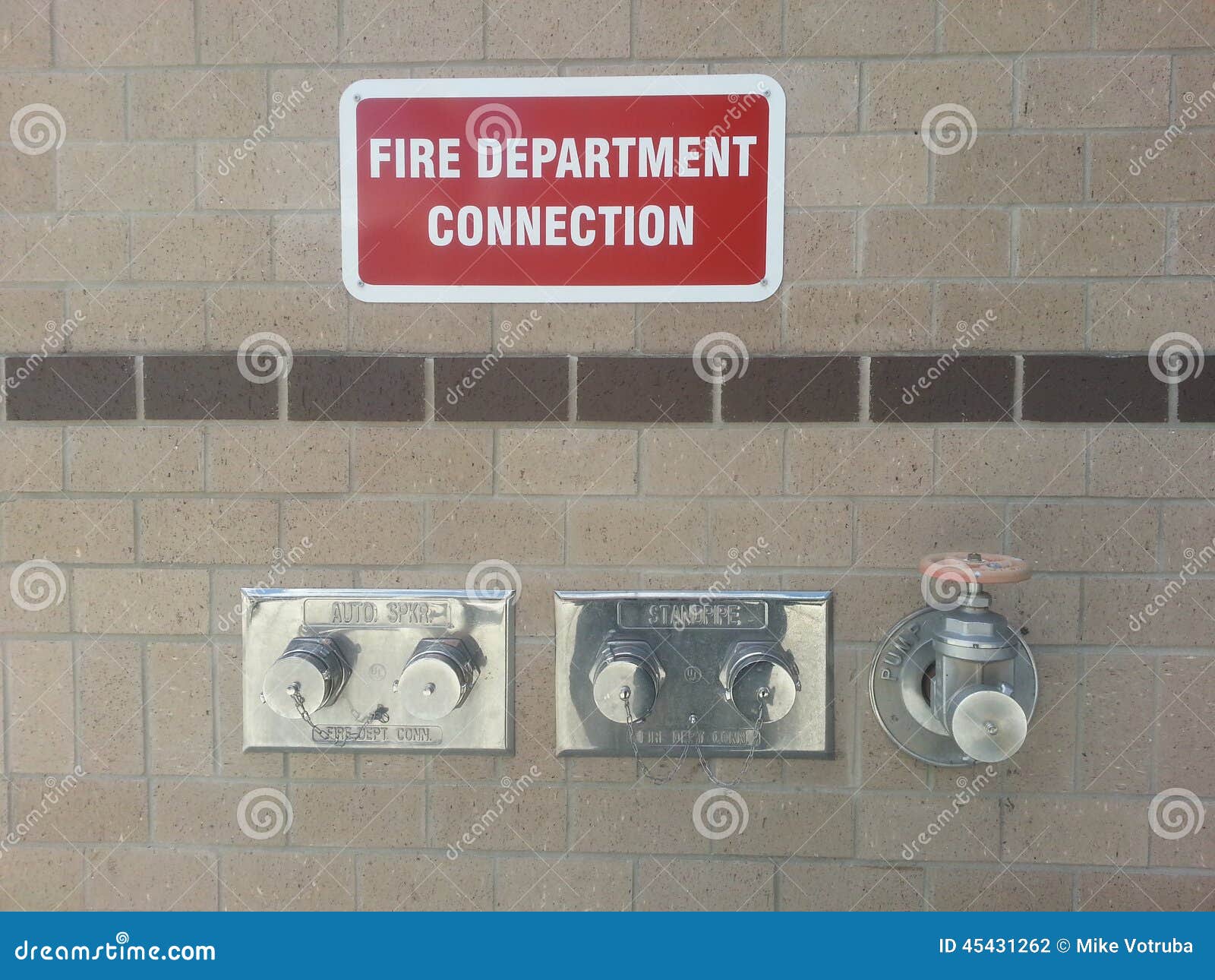 Connexion siamoise photo stock. Image du beige, siamois - 45431262