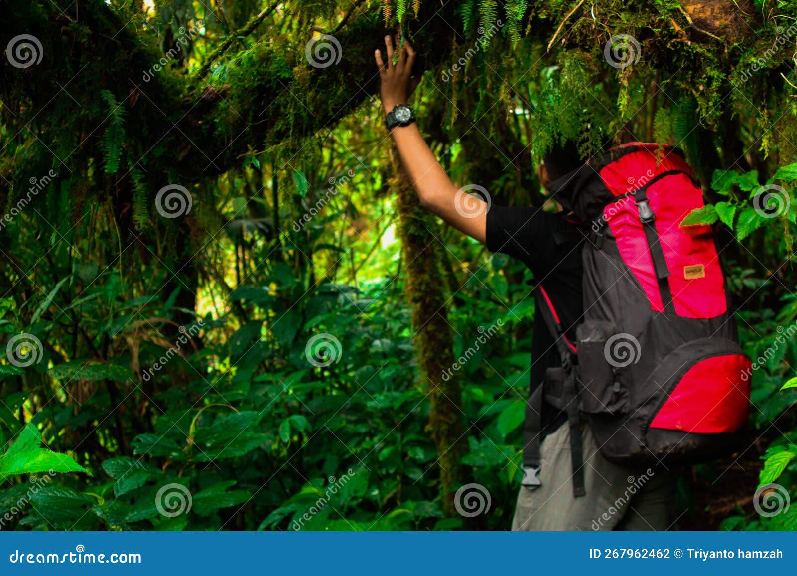 Conquer Nature with the Beauty of the Mountain with a Million Features ...