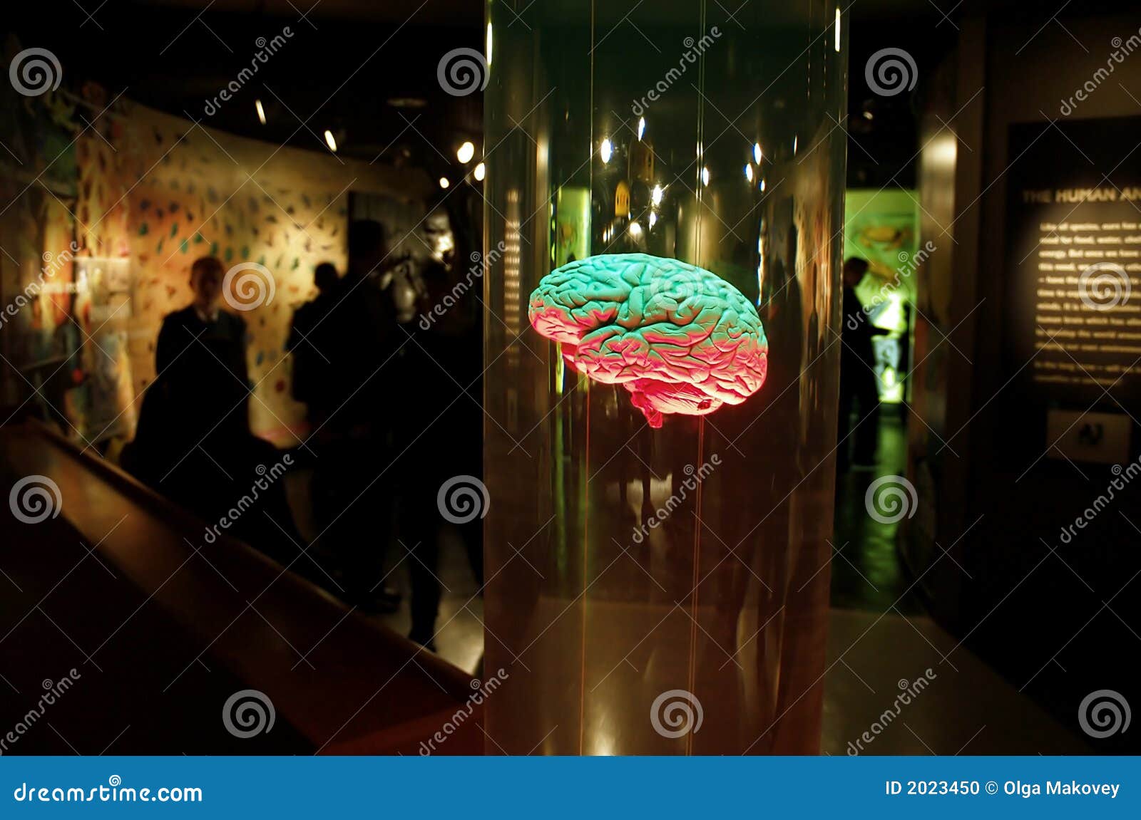 Consciousness model editorial image. Image of intelligence - 2023450