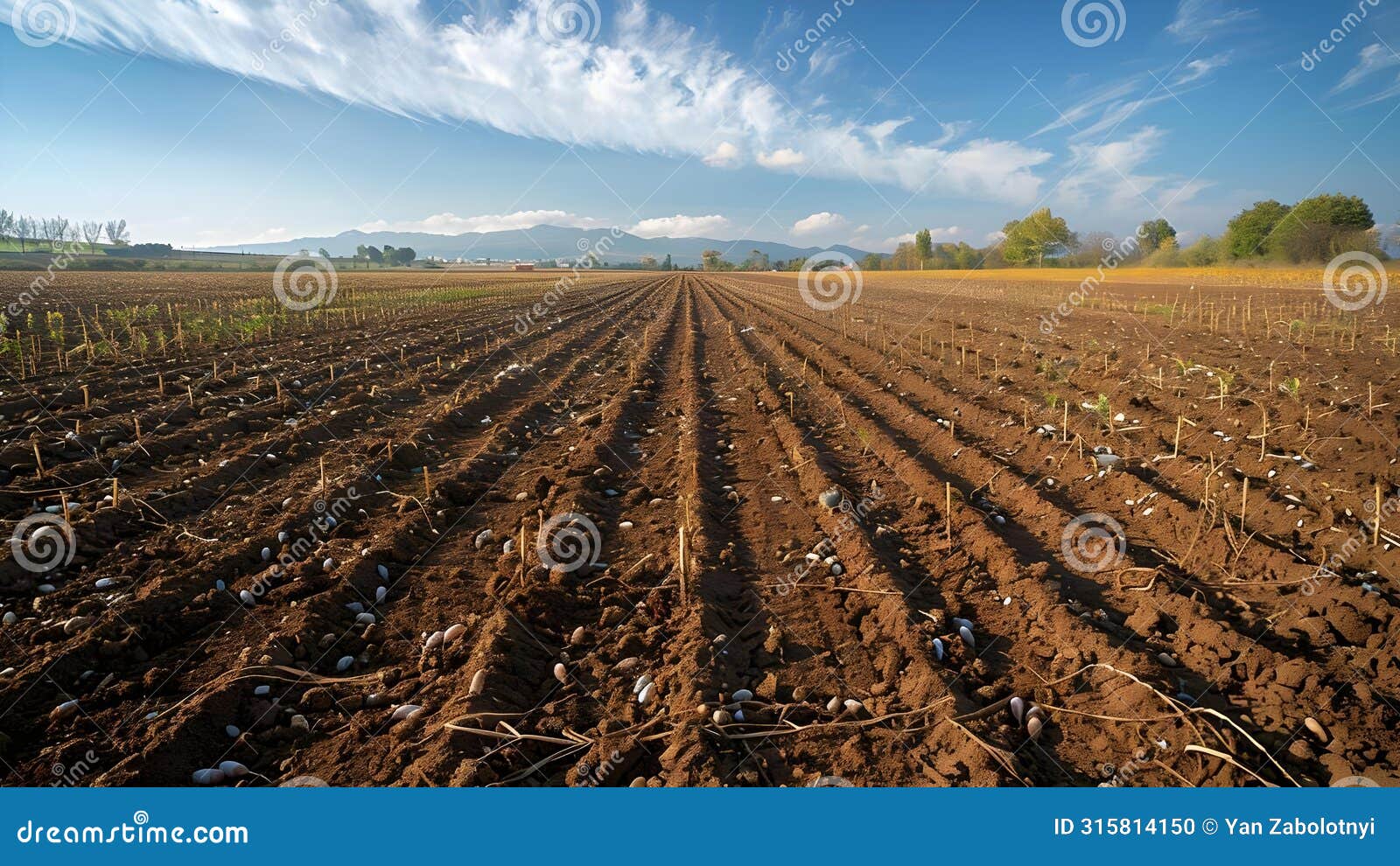 The Consequences Of Overusing Embryos In Farming: A Desolate Field ...