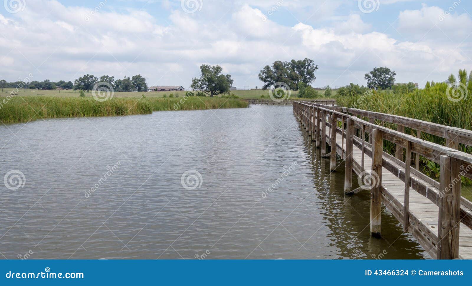 Conservation and Preservation Area in Texas Stock Photo - Image of ...
