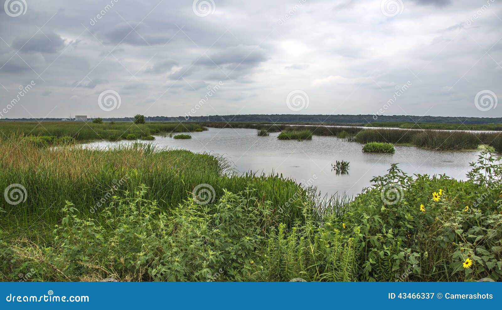 Conservation and Preservation Area in Texas Stock Image - Image of ...